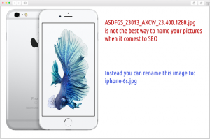 Google Images Rank Tracker - GeoRanker